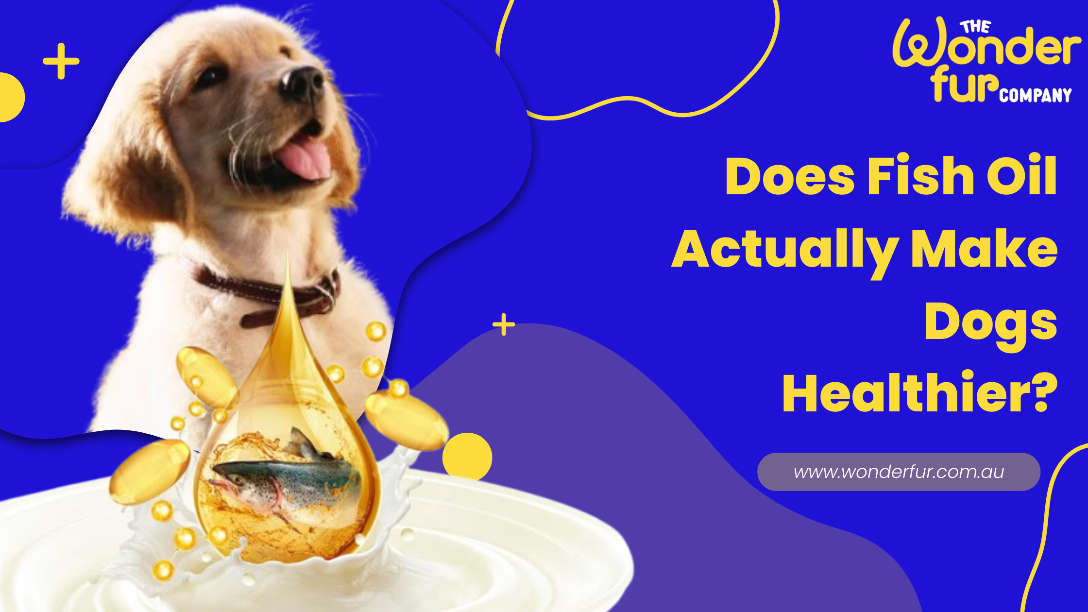 Does_Fish_Oil_Actually_Make_Dogs_Healthier.png?v=1742363619