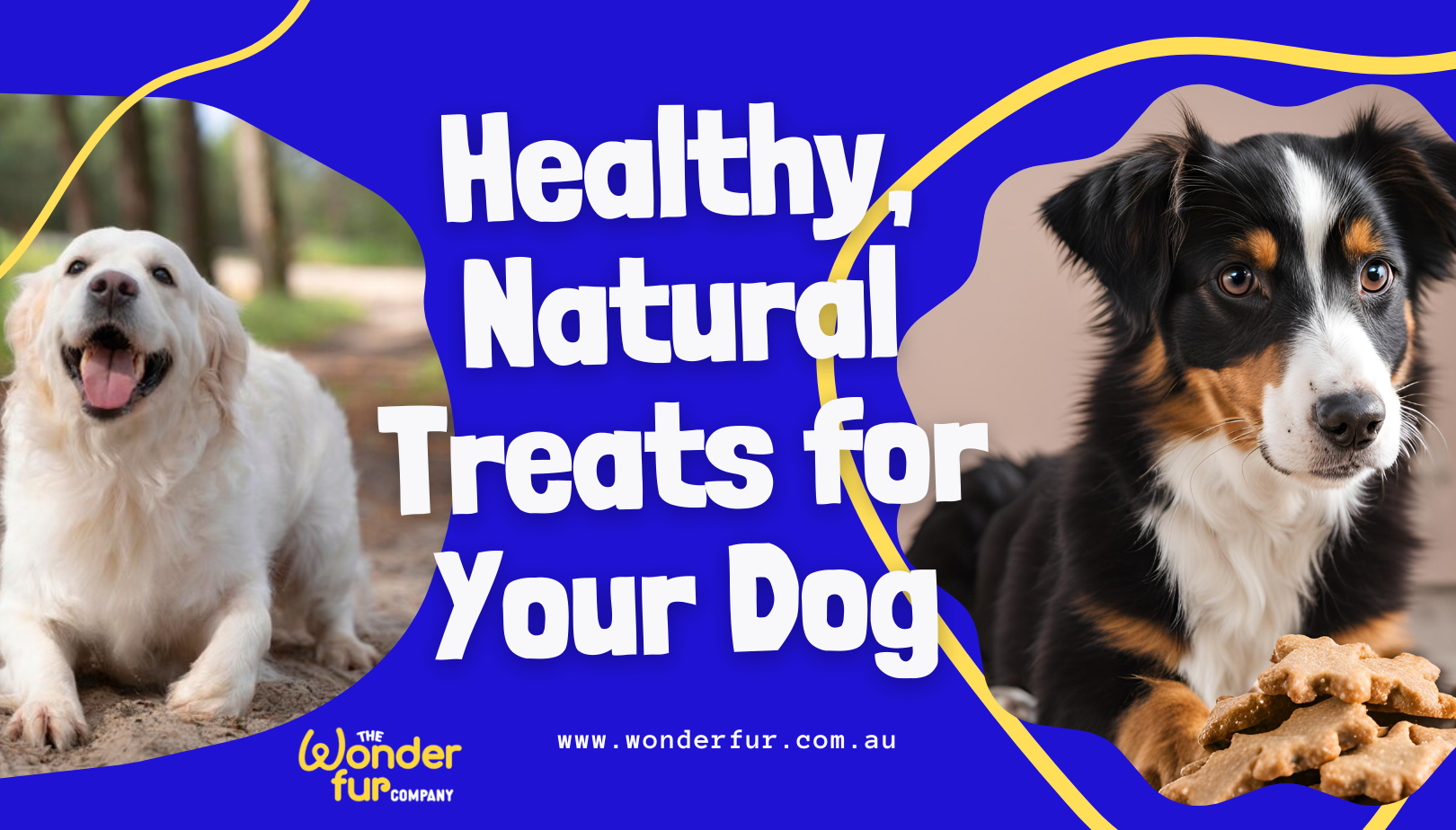 How Wonderfur Bites are Healthy Treats for Your Dog?