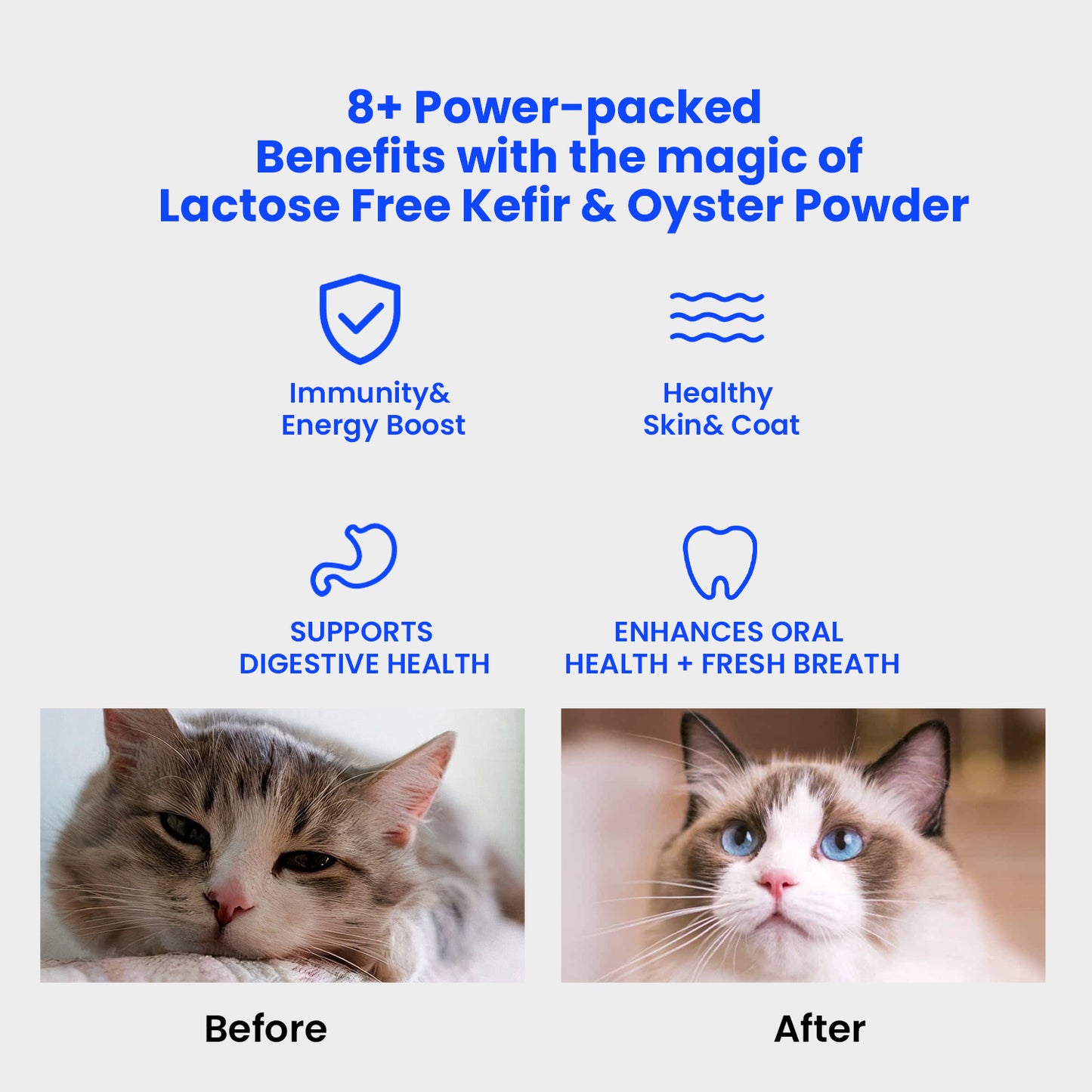 Immune Booster for Cats - wonderfurcompany, freeze-dried, probiotics ...